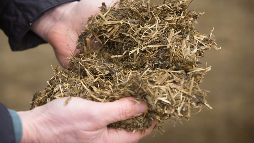 Mycosorb A+ - Alltech