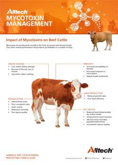 Resources & downloads - Alltech