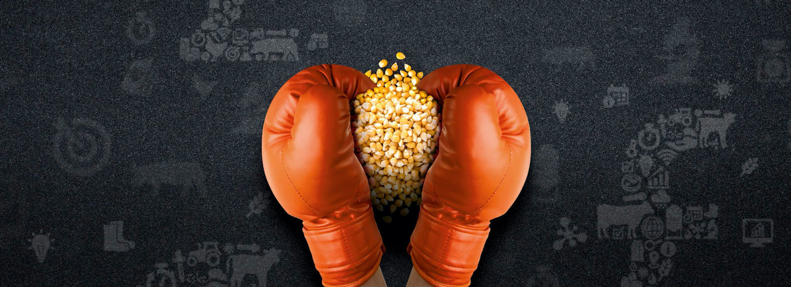 Alltech Rapiread - Alltech