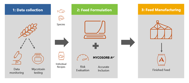 How Alltech Coppens Successfully Manage Mycotoxins at an Aqua Feed Mill - Alltech